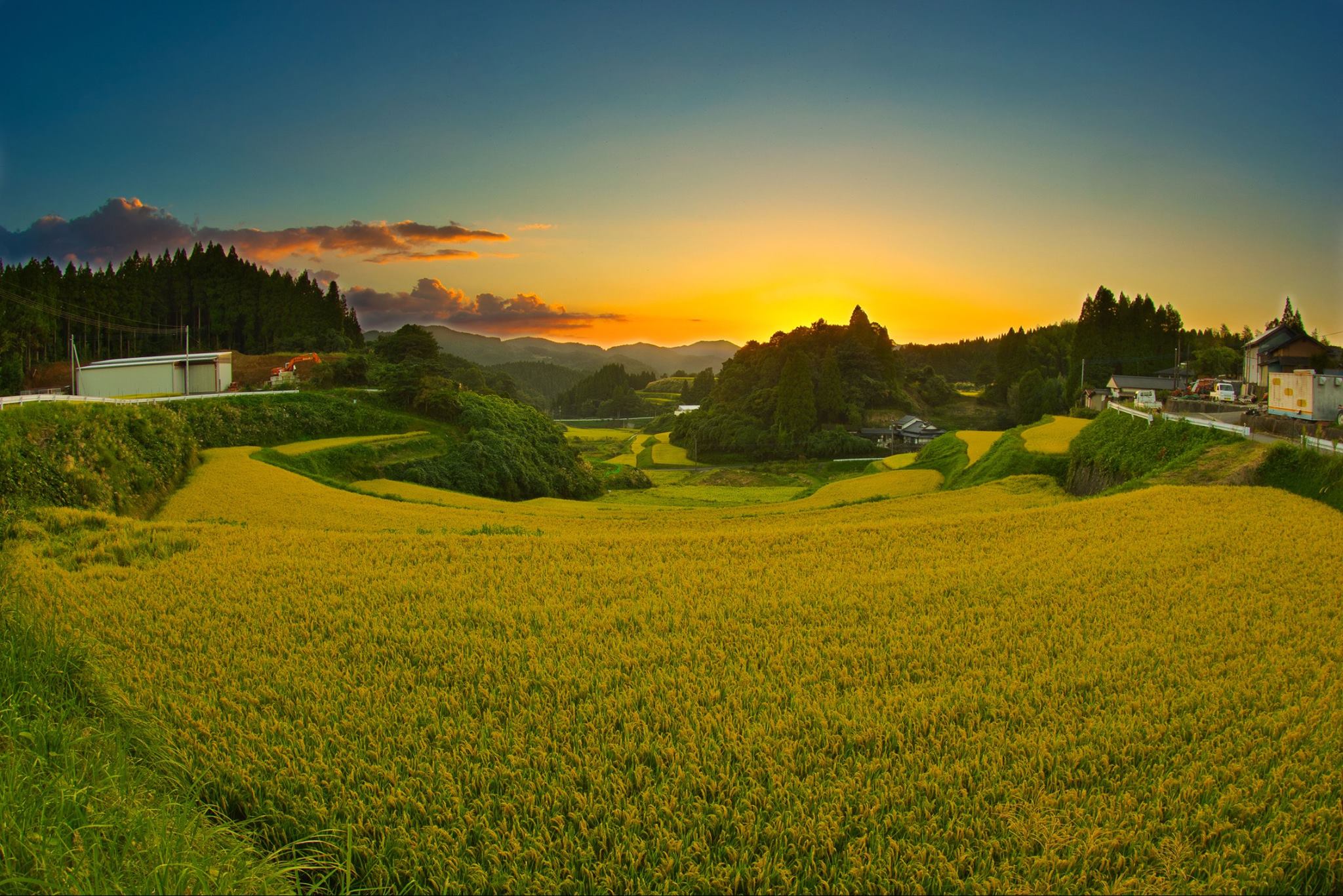 Tuzyun Sake brewery (通潤酒造) – Natural Sake Store